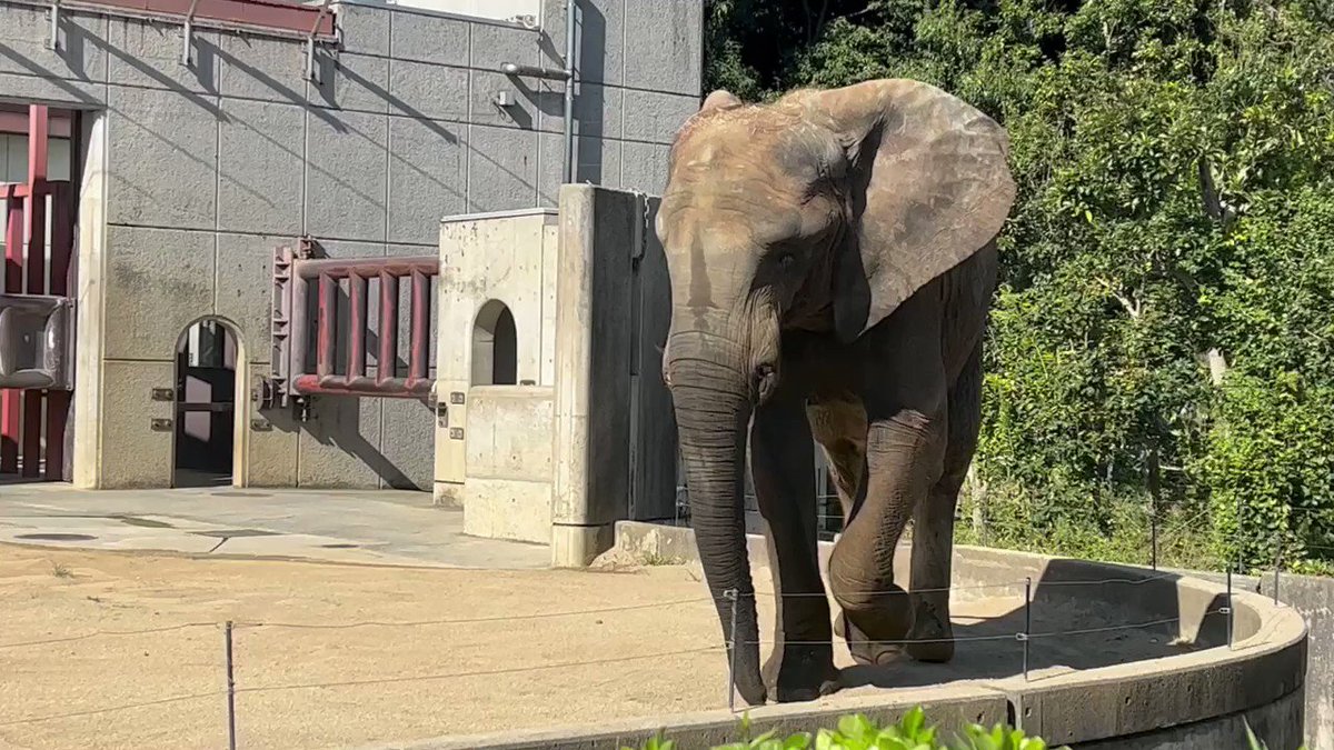 one zoo on Twitter: one zoo on Twitter: