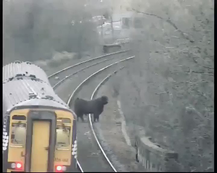 ScotRail (@ScotRail) / Twitter ScotRail (@ScotRail) / Twitter