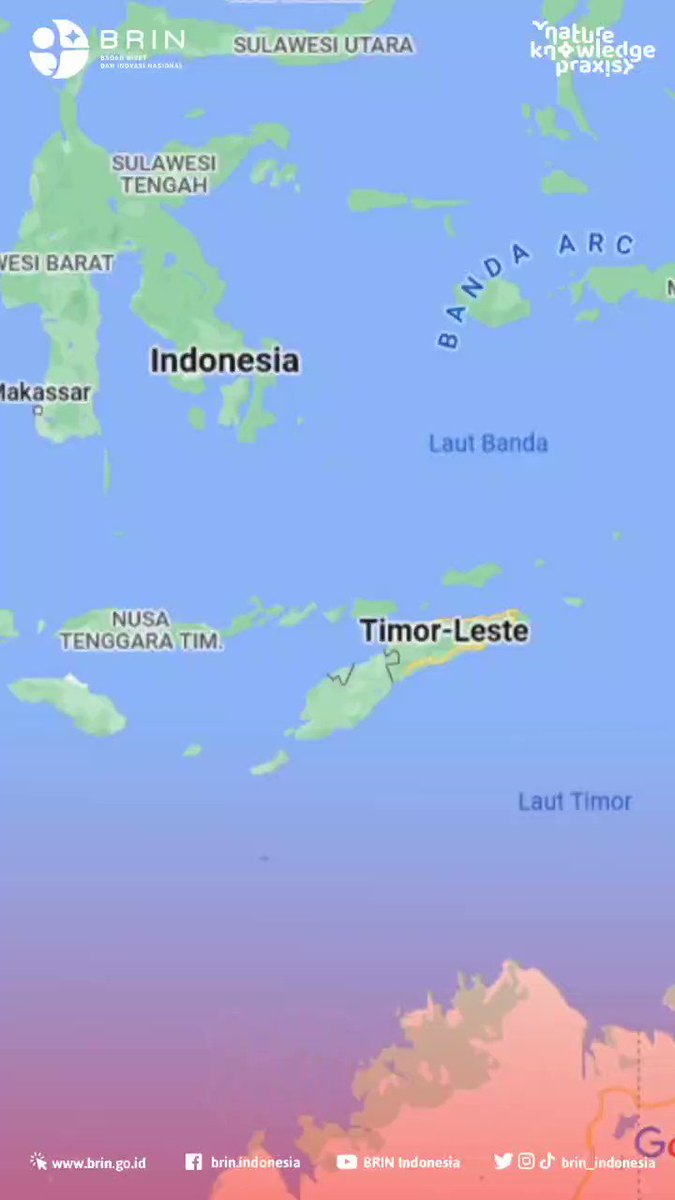 BRIN Indonesia on Twitter: BRIN Indonesia on Twitter: