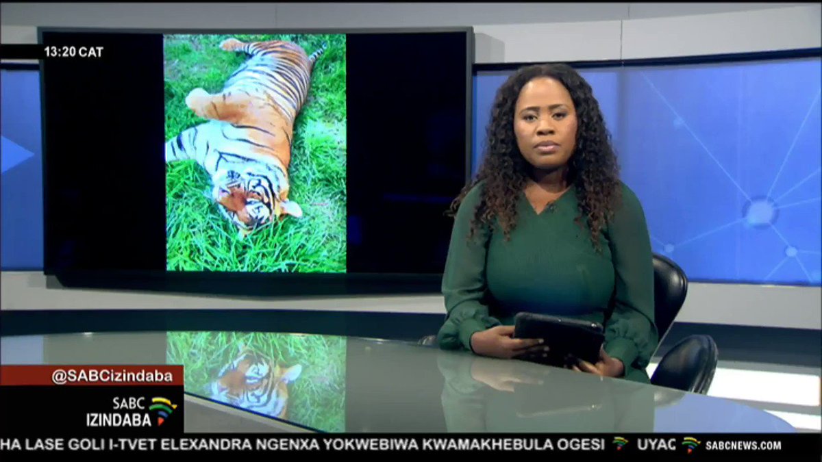 SABC izindaba on Twitter: SABC izindaba on Twitter: