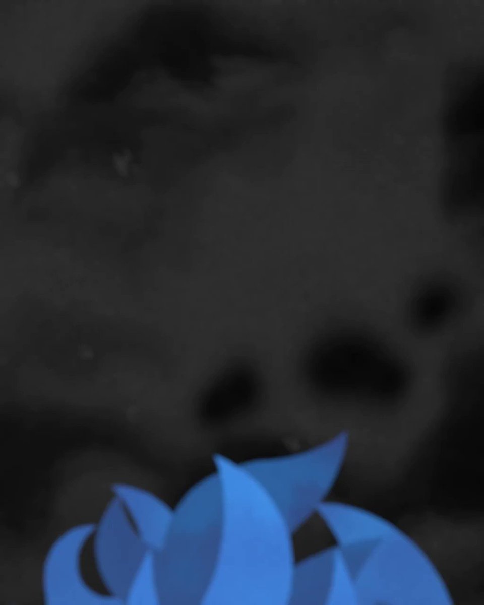 Gaules on Twitter: Gaules on Twitter: