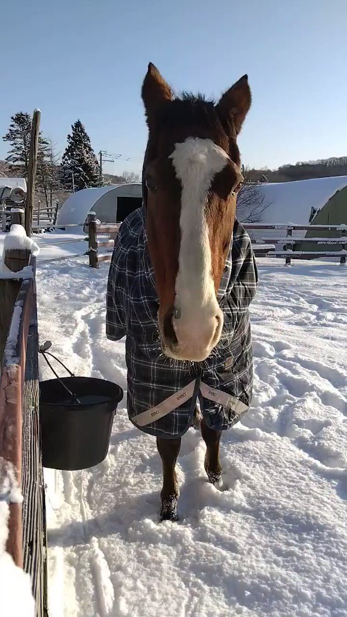 porno lesbian - TwiHub