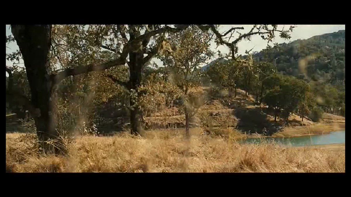 All The Right Movies on Twitter: "The terrifying Lake Berryessa scene from ZODIAC (2007). The ...