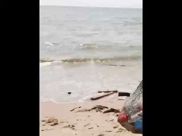 罗翔 On Twitter 见过不要脸的,没见过这么不要脸的!吃相这么难看!这一定又是美帝的阴谋!一切责任尽在美方!