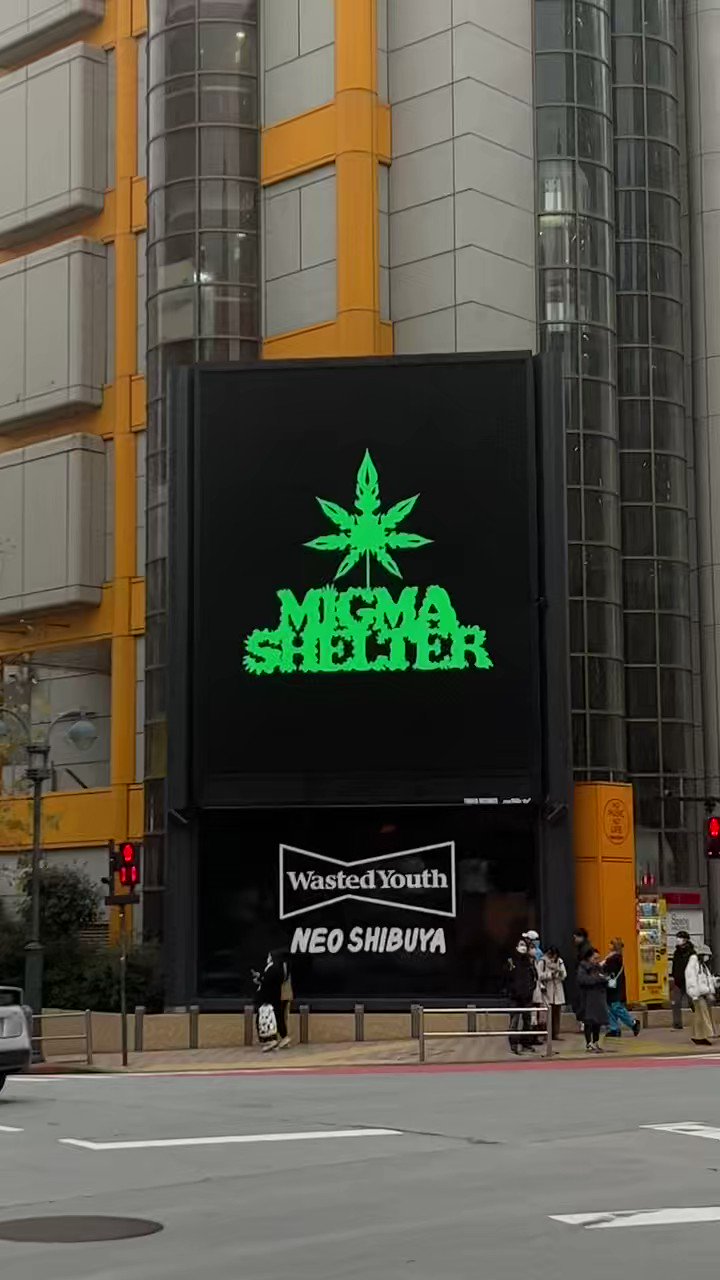 MIGMA SHELTER公式 on Twitter: "🍄 MIGMA SHELTER 新メンバー募集中！ 応募フォーム⬇️ https://t.co/Z0CqrYerLG 📺オーデCM放送 ...