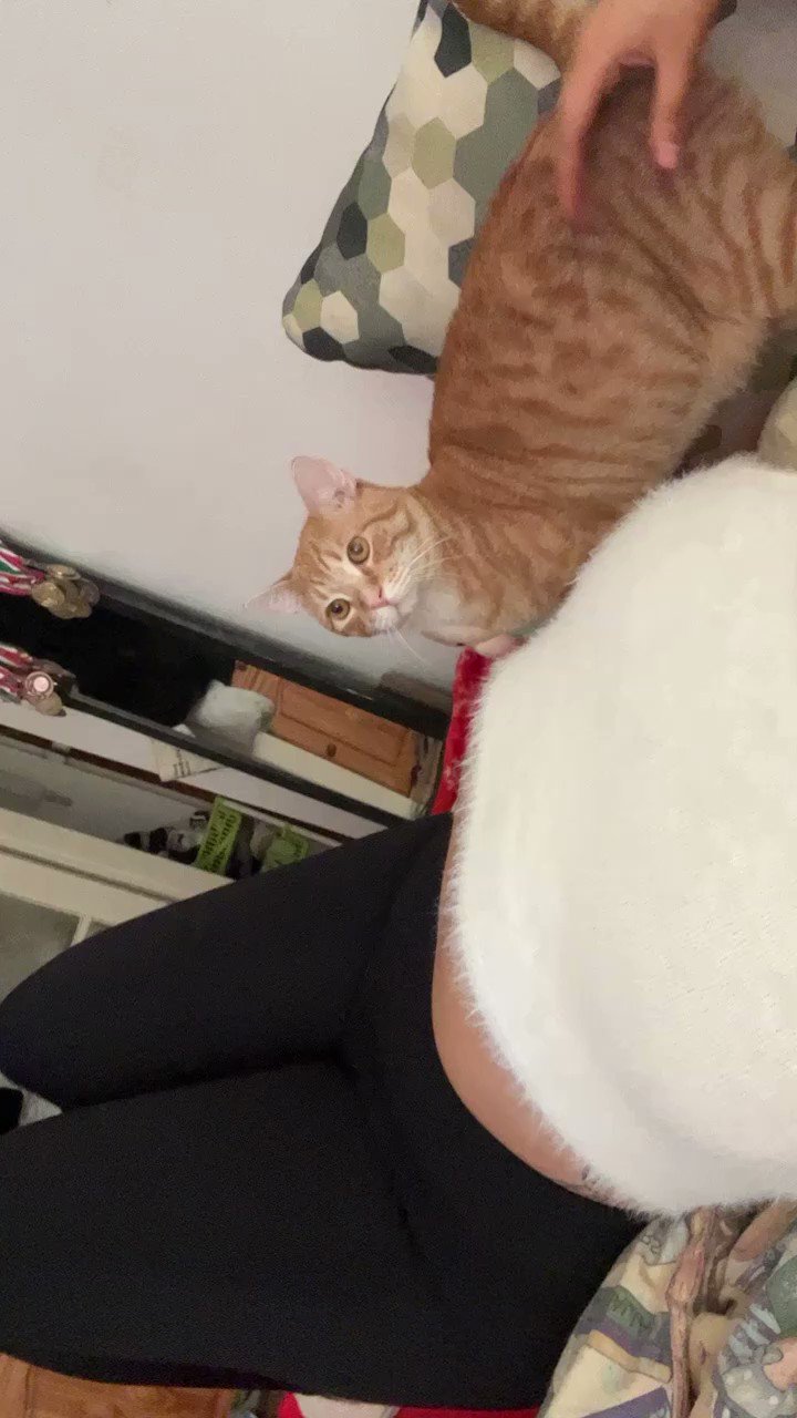 Rákó Lili (@rk_lili1) / Twitter