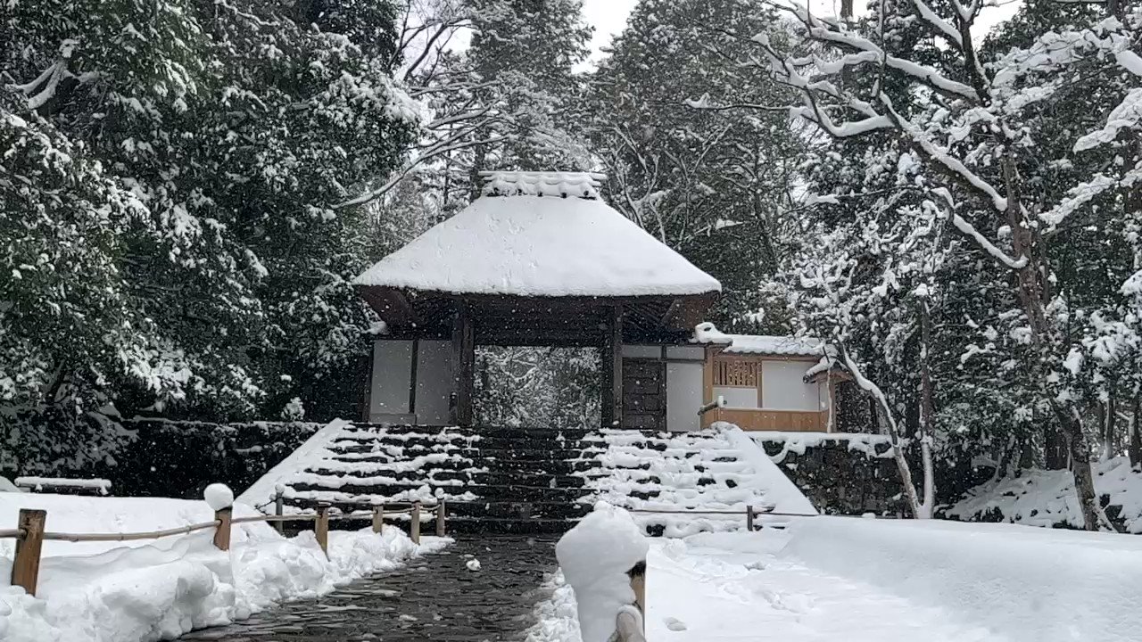 鈴木俊貴 Toshitaka Suzuki (@toshitaka_szk) / Twitter