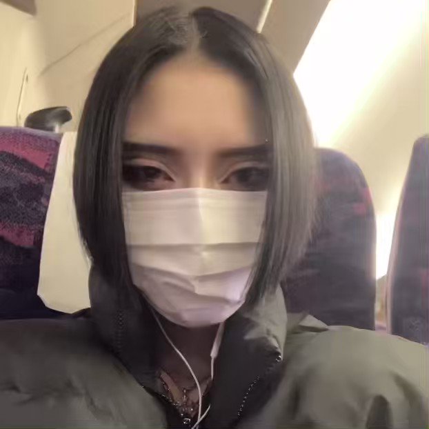 イヌを乾燥させる on Twitter: "TOKYOへ向かってますわよ…照"