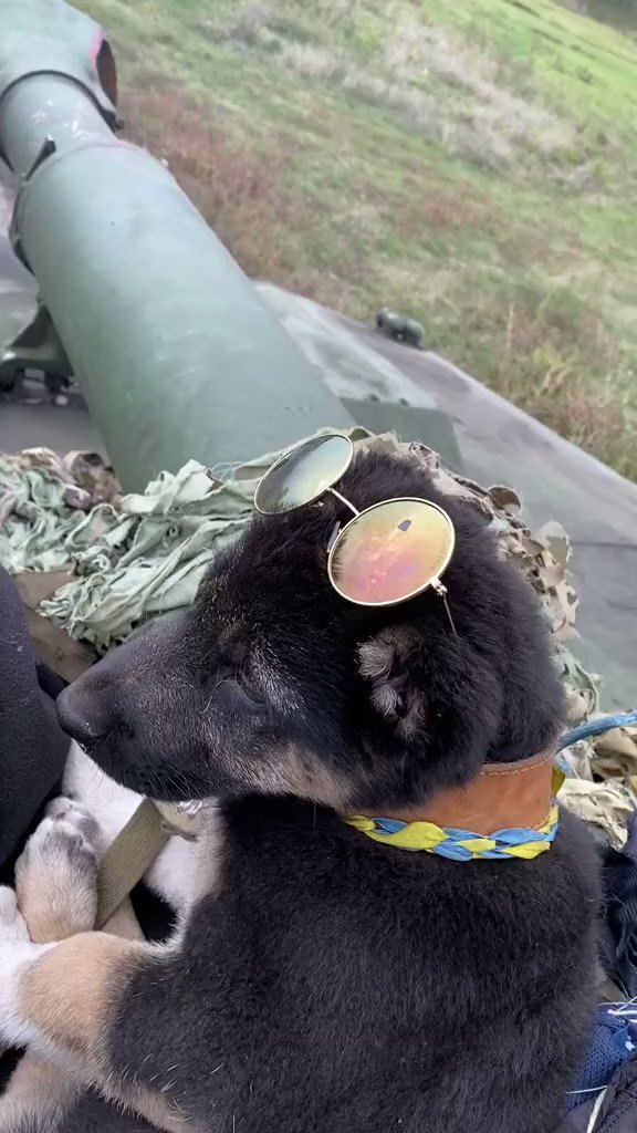 Walter Report ๐บ๐ฆ on Twitter: Walter Report ๐บ๐ฆ on Twitter: