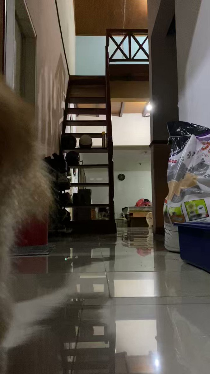 Moko & Nue on Twitter: "“elo itu gk diajak”"