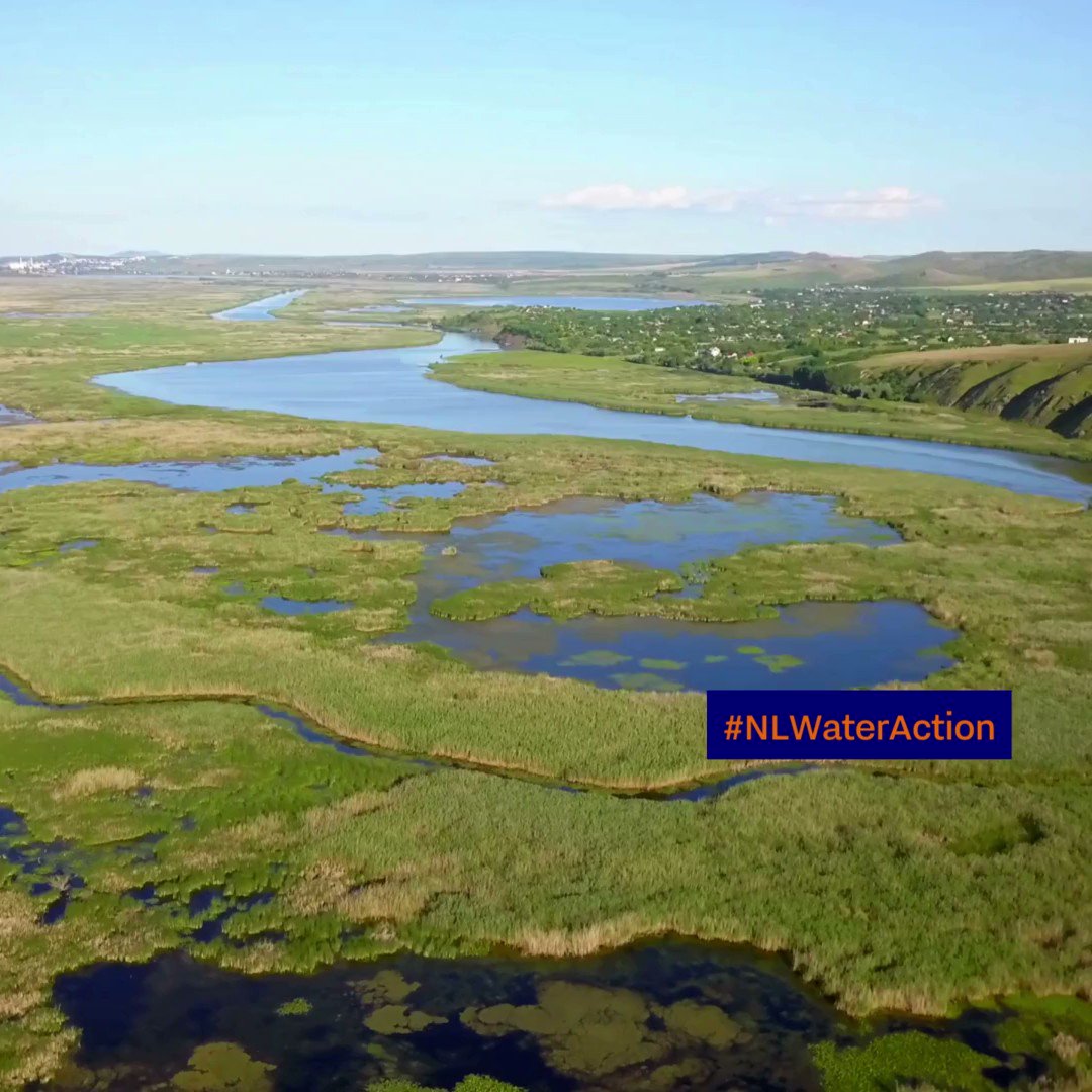 Antonio on Twitter: "RT @NLNetherlands: Wetlands absorb CO2 & are key to mitigating climate ...