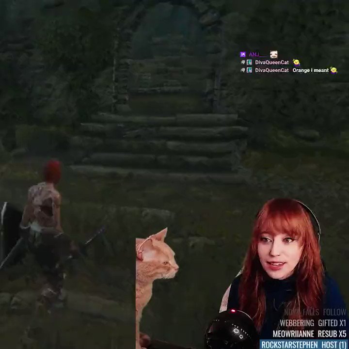 GAMINGbible on Twitter: "Cute cat just wants attention from it's human while she's streaming 🥹 🎮 ...