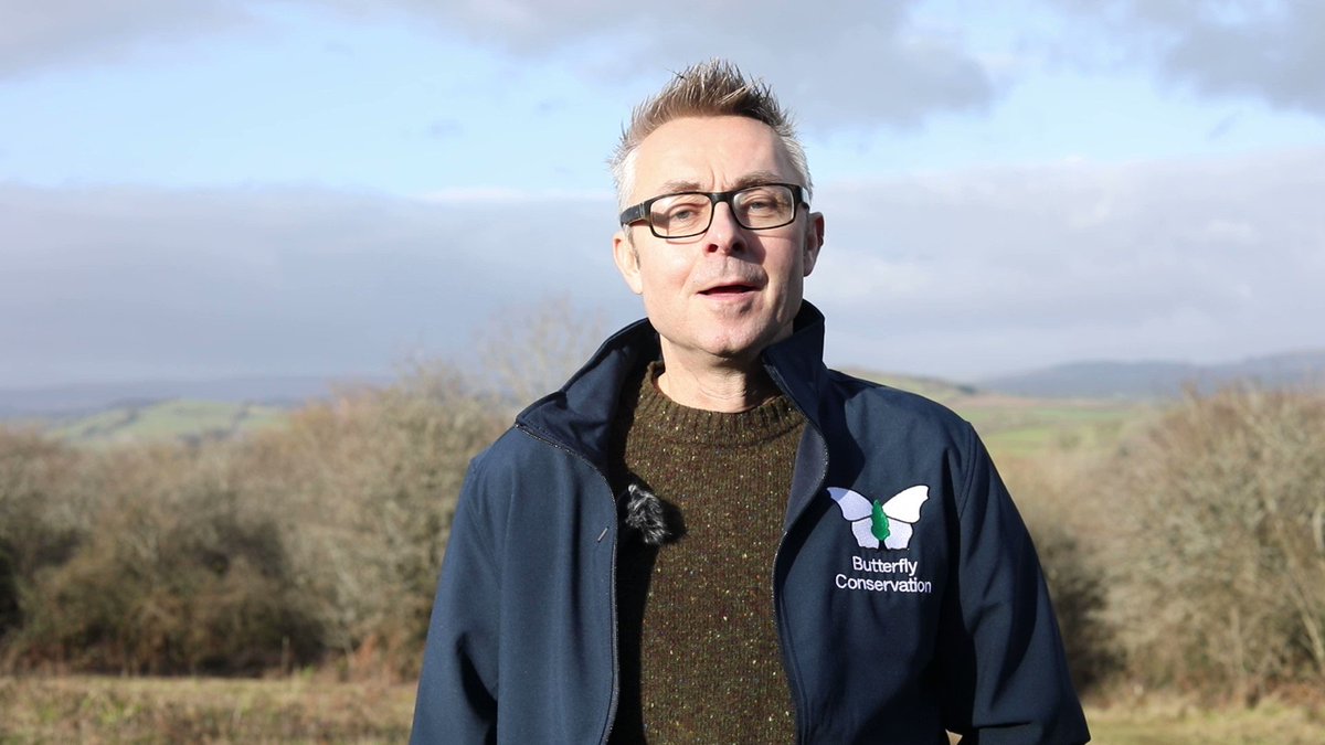 Butterfly Conservation on Twitter: "The State of the UK’s Butterflies 2022 report has revealed ...