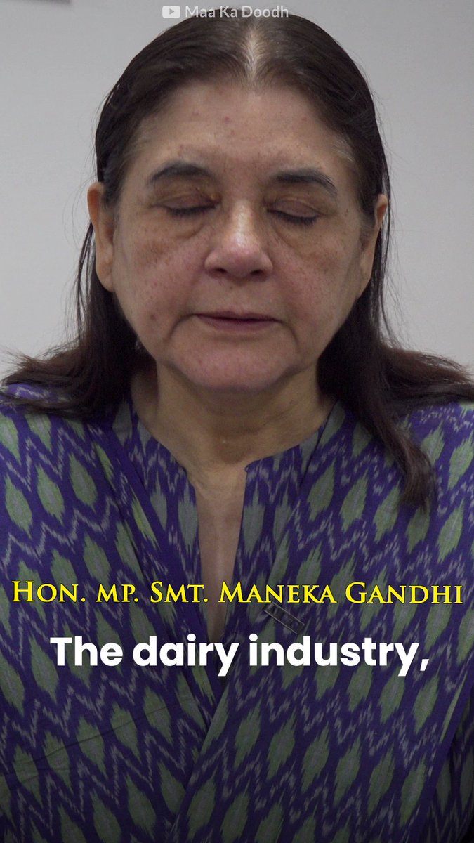 PETA India On Twitter The Dairy Industry Where Cattle Are Kept For peta-india-on-twitter-the-dairy-industry-where-cattle-are-kept-for