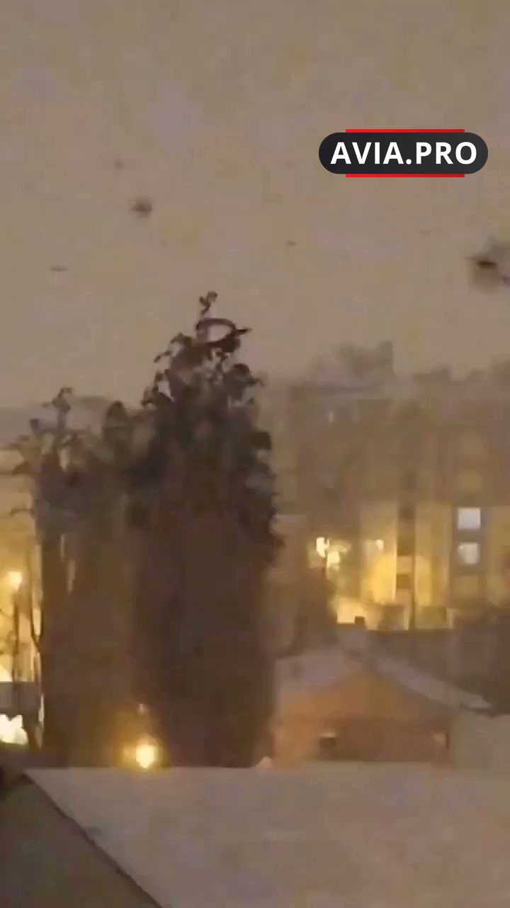 Avia.Pro - 🛡️Foreign Affairs - 📡Geopolitics on Twitter: "Bird behavior before the earthquake in ...