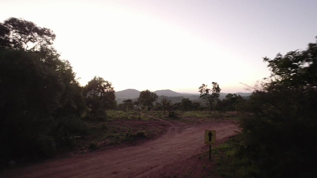 ShareTalkApps on Twitter: "RT @Share_Talk: Market Summary > @Premafrimin LON #PREM 0.57 GBX+0. ...