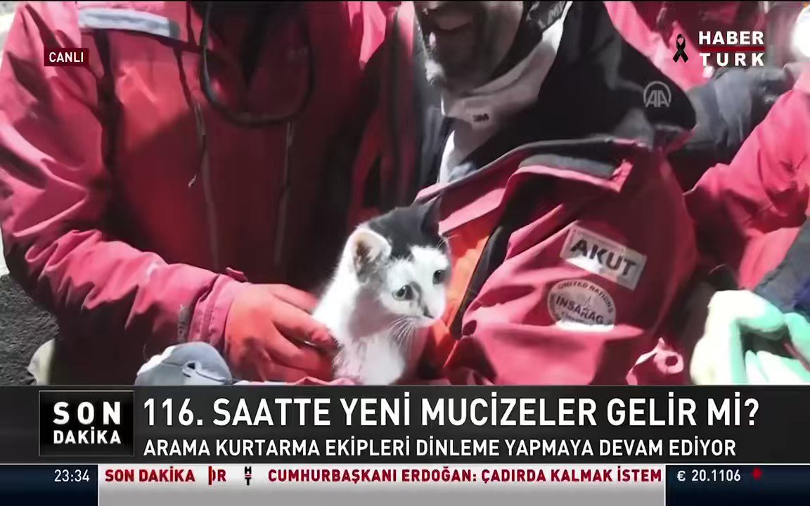 Haber on Twitter: Haber on Twitter: