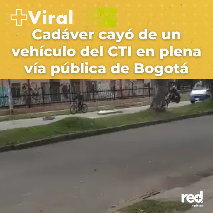 Viral ¿cómo Hubiese Reaccionado🥴 Un Video Se Hizo Viral En Las Redes