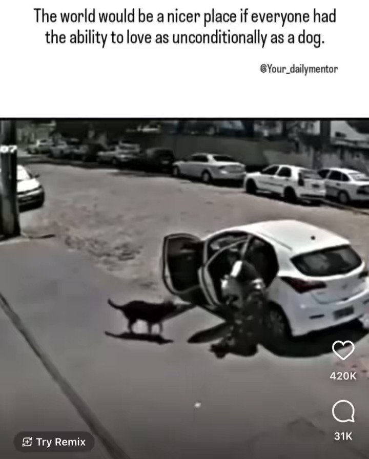 Г Энхболд Нөгөө хэнээ 😆🤣😜 On Twitter Эр ч бай эм ч бай эрүүл саруул