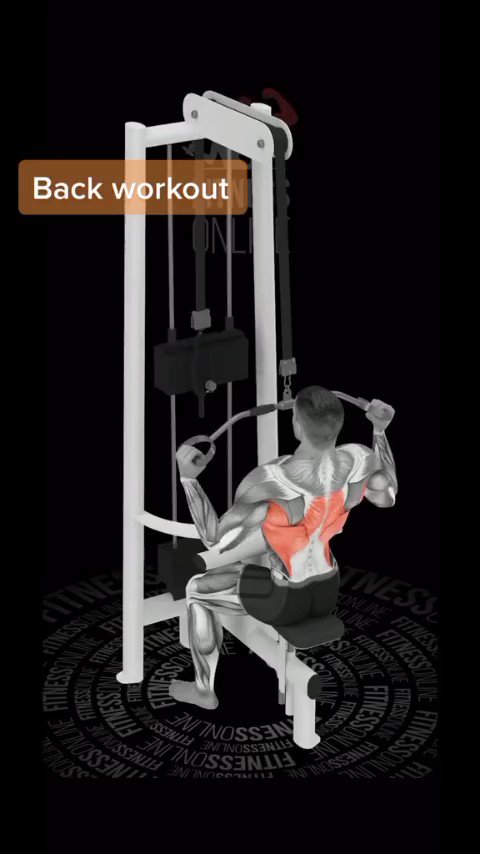 ᴀʀᴛ ᴏꜰ ᴘʜʏꜱɪqᴜᴇ On Twitter Rt Goalloaded 5 Exercises For Bigger