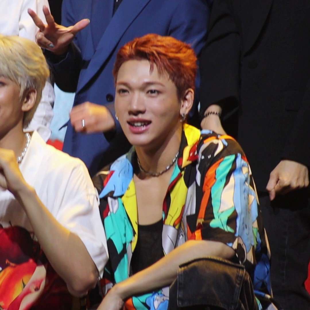 รายการ 101+ ภาพ ตัวเมียร์แคท ความละเอียด 2k, 4k