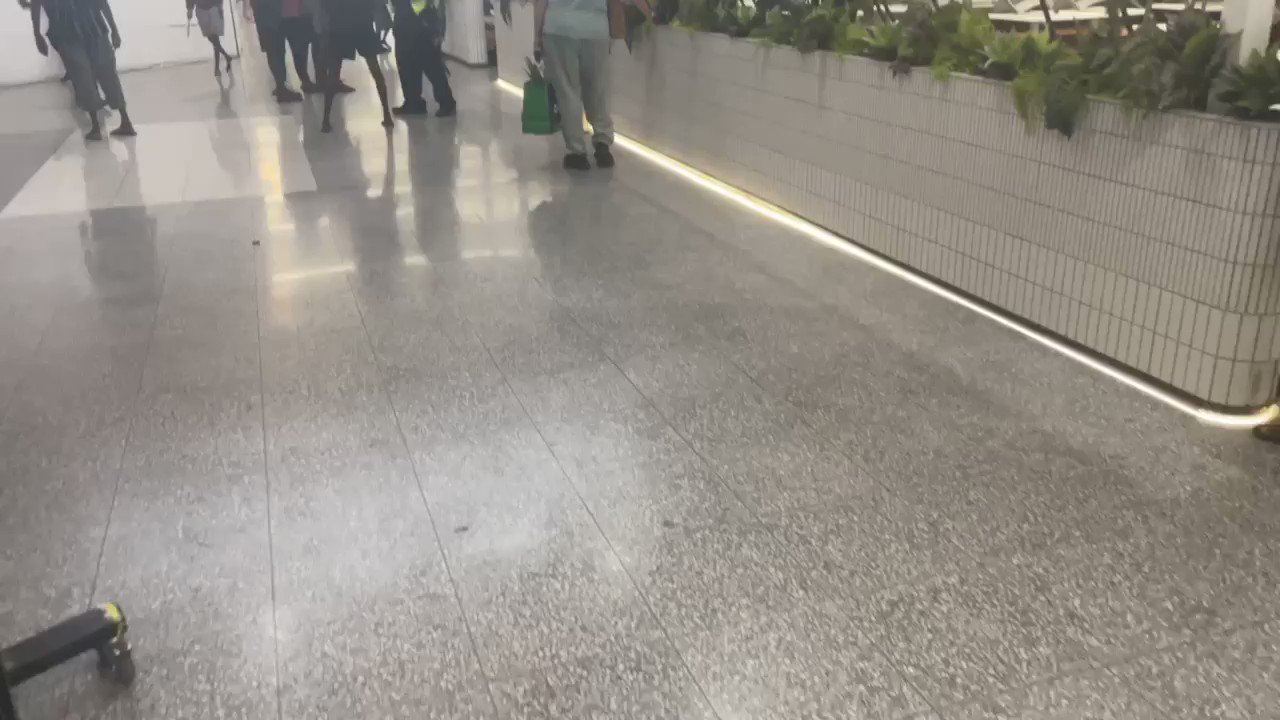 Action for Alice 2020 - Darren Clark on Twitter: "The video that got us banned from Facebook ...