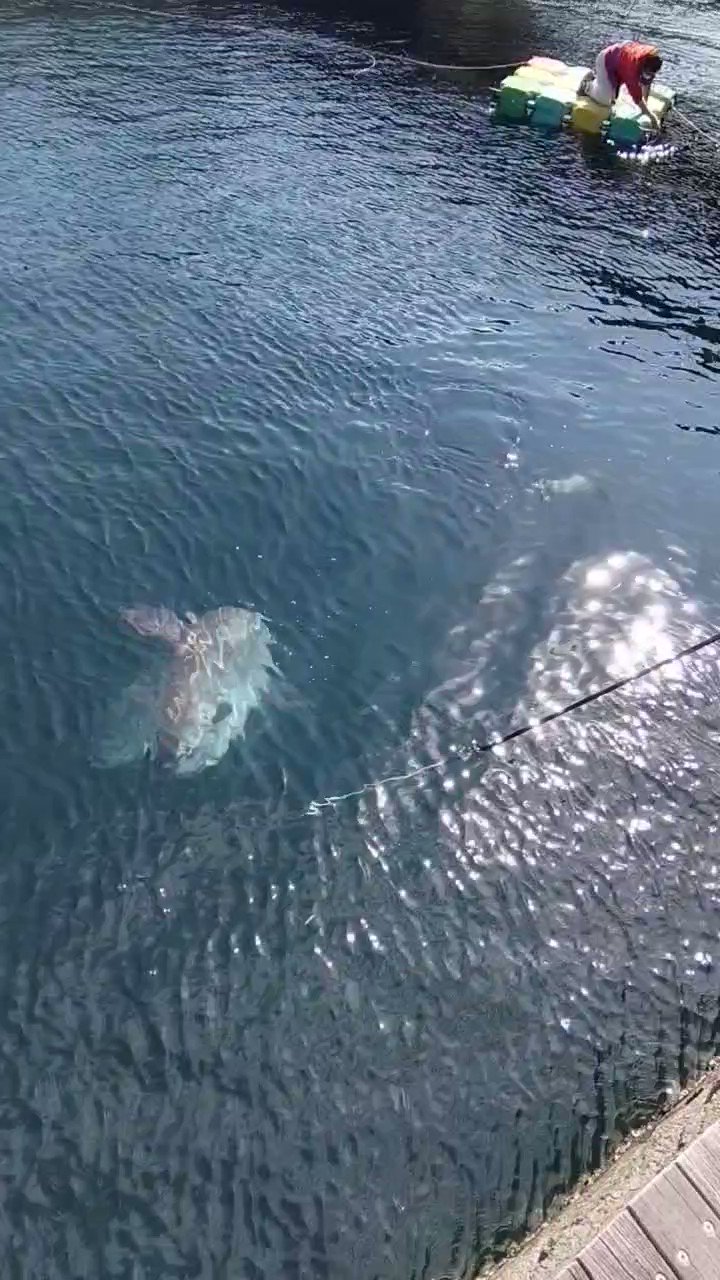 jh4vaj/1 (@jh4vaj) / Twitter