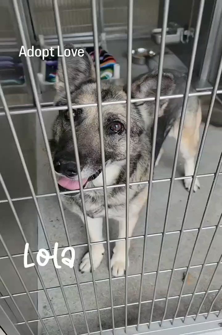 Lila on Twitter: Lila on Twitter: