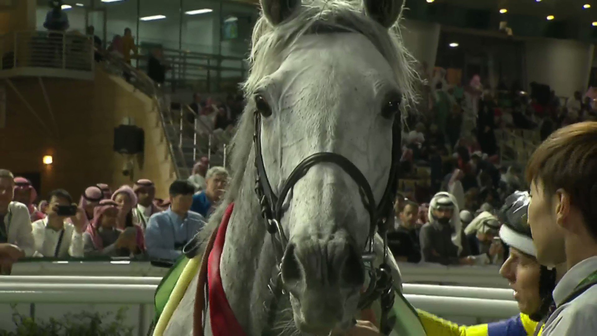 World Horse Racing on Twitter: World Horse Racing on Twitter: