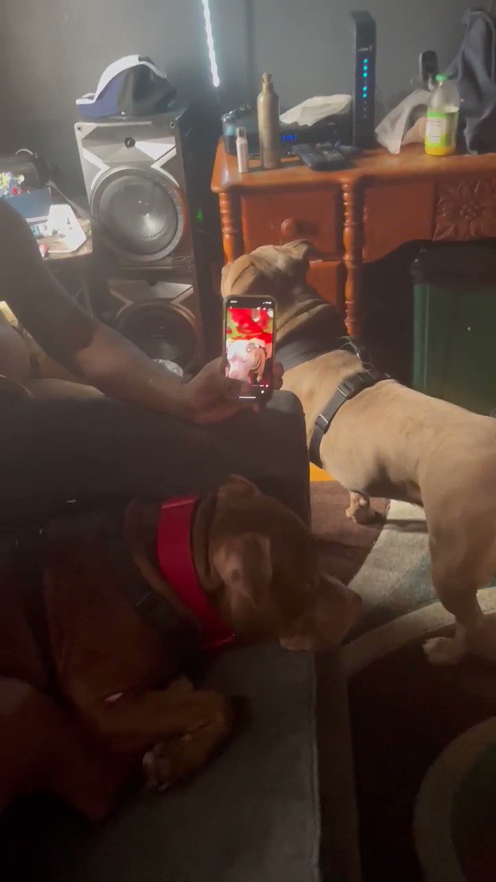 Nephew pioneer (@stovall_moses) / Twitter