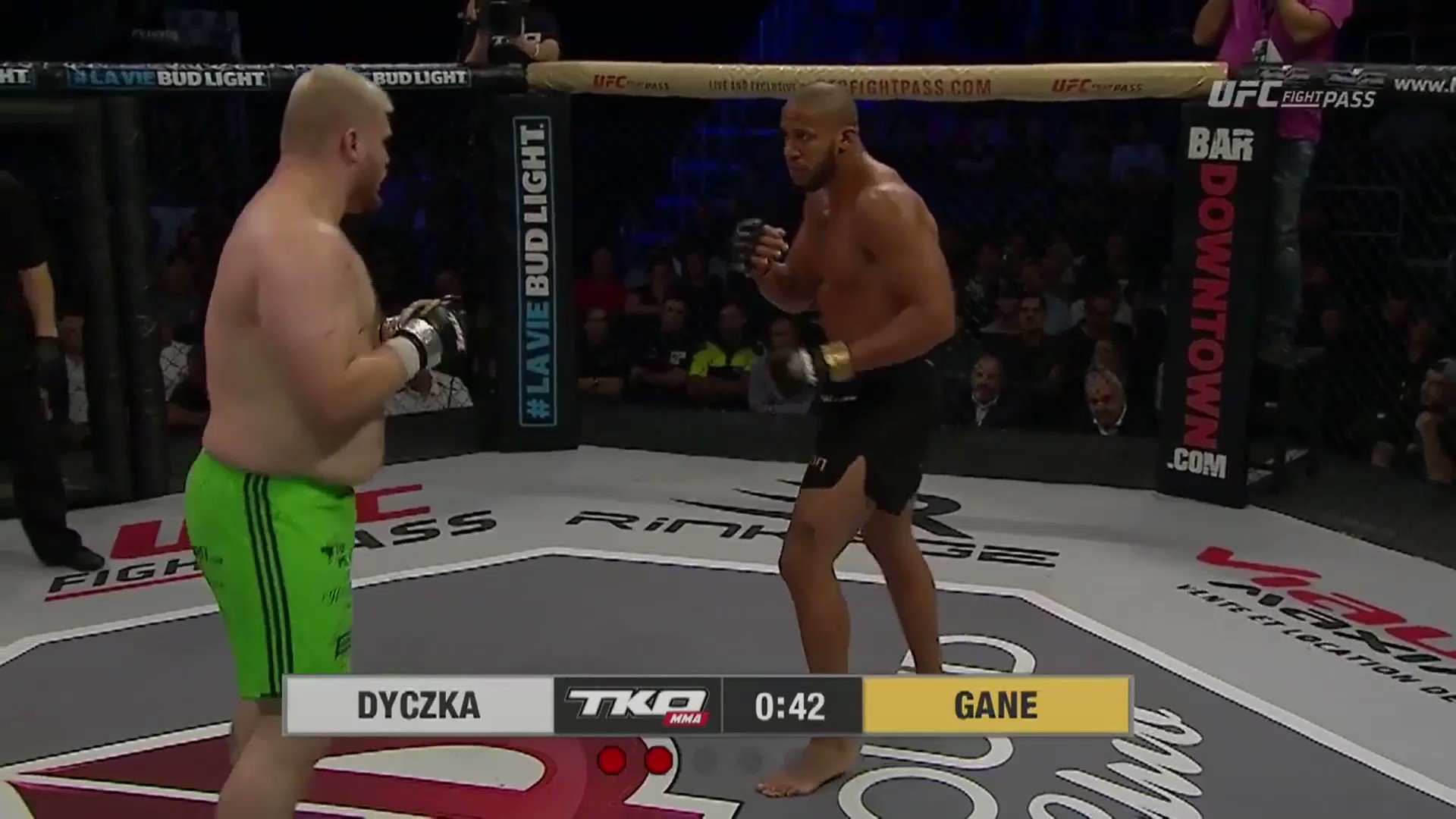 Ocelot MMA on Twitter: "September 21, 2018 Gane TKOs Adam Dyczka in Round 2 Defends the TKO ...