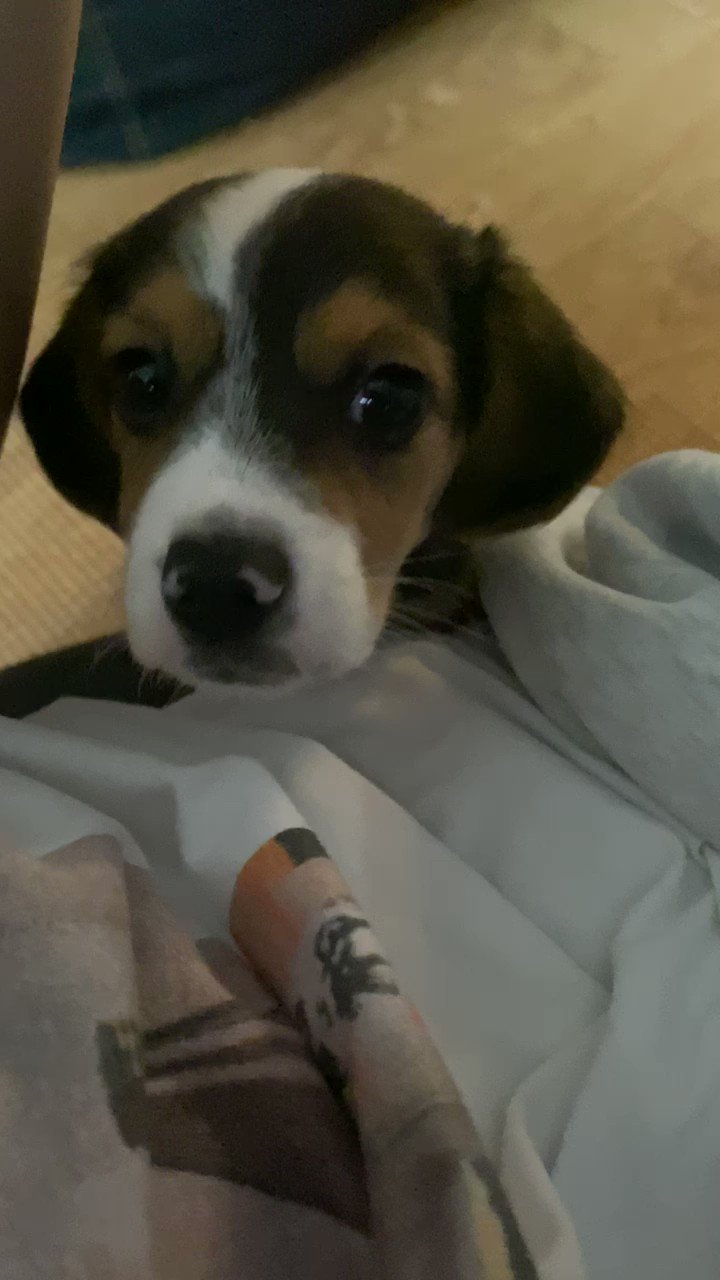 땡팔이 (@X808_d) / Twitter