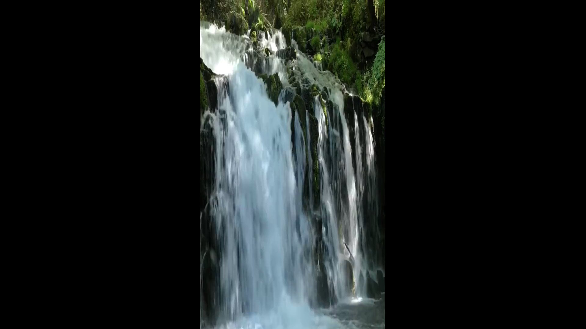 Ultimate Ambience Soundzz (@AmbienceSoundzz) / Twitter