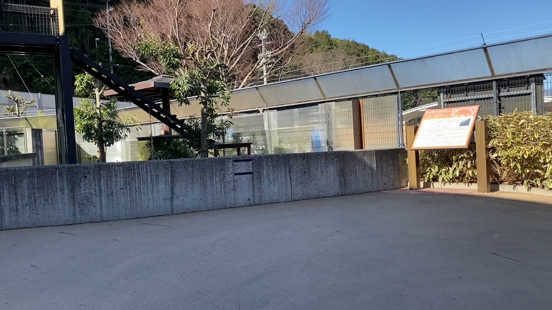 静岡市立日本平動物園 (@nhdzoo) / Twitter