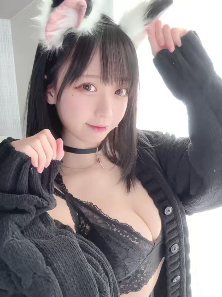 yami on Twitter: "猫yami飼う？ https://t.co/4SLzU2Ceq0" / Twitter