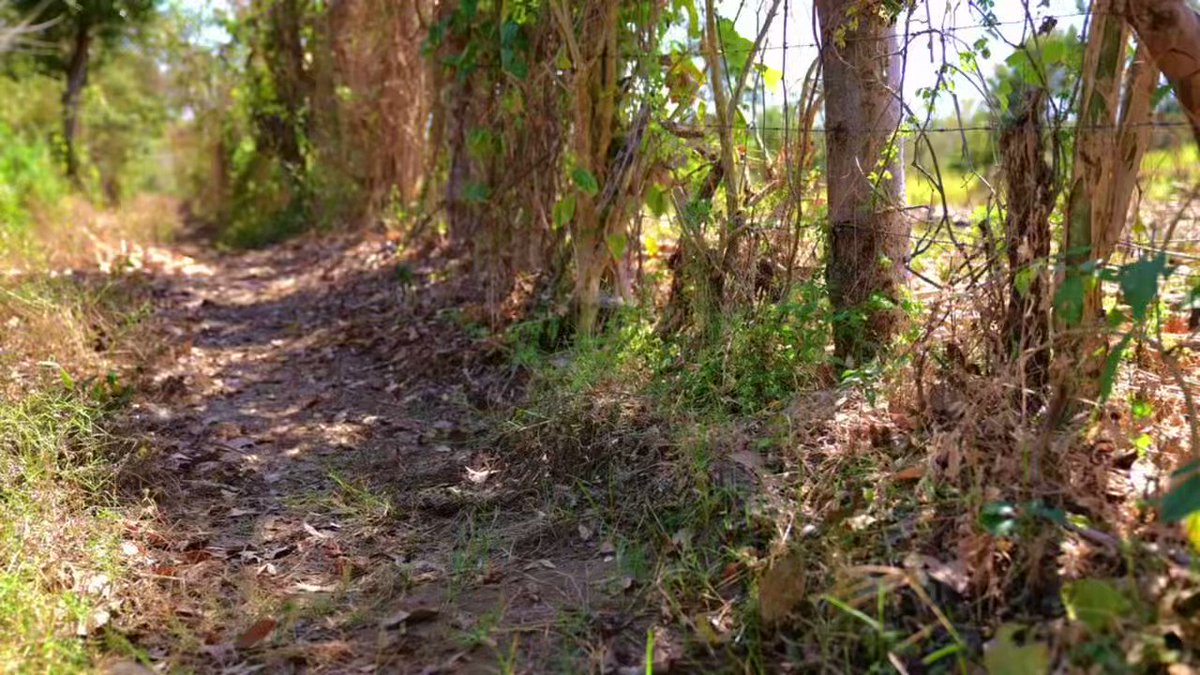 ITR Oficial on Twitter: "🚨I PARTE - 7 AÑOS DESPUÉS DE LA MASACRE DE OPICO - Hace 7 años, El ...