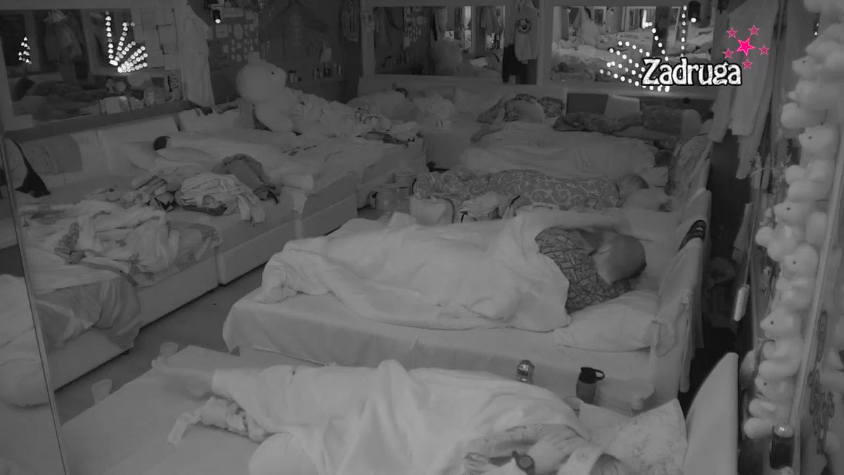 Zadruga Official on Twitter: "Zadruga 6 - Zvezdan navali na Anđelu iako mu je bivša na tri ...