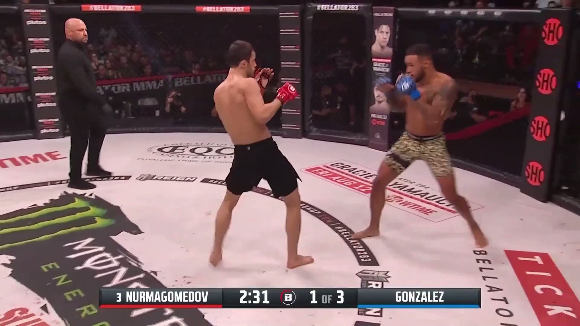 Alexander Volkara France (@AVolkaraFrance) / Twitter