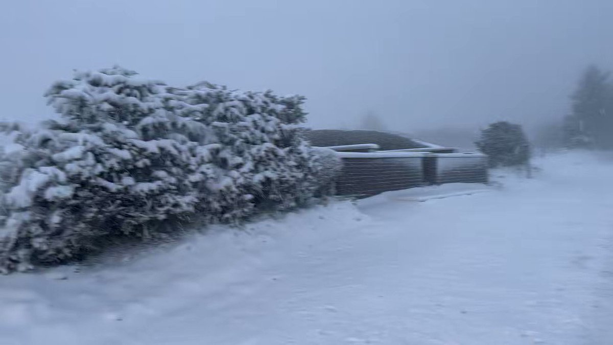 Carlow Weather on Twitter: Carlow Weather on Twitter: