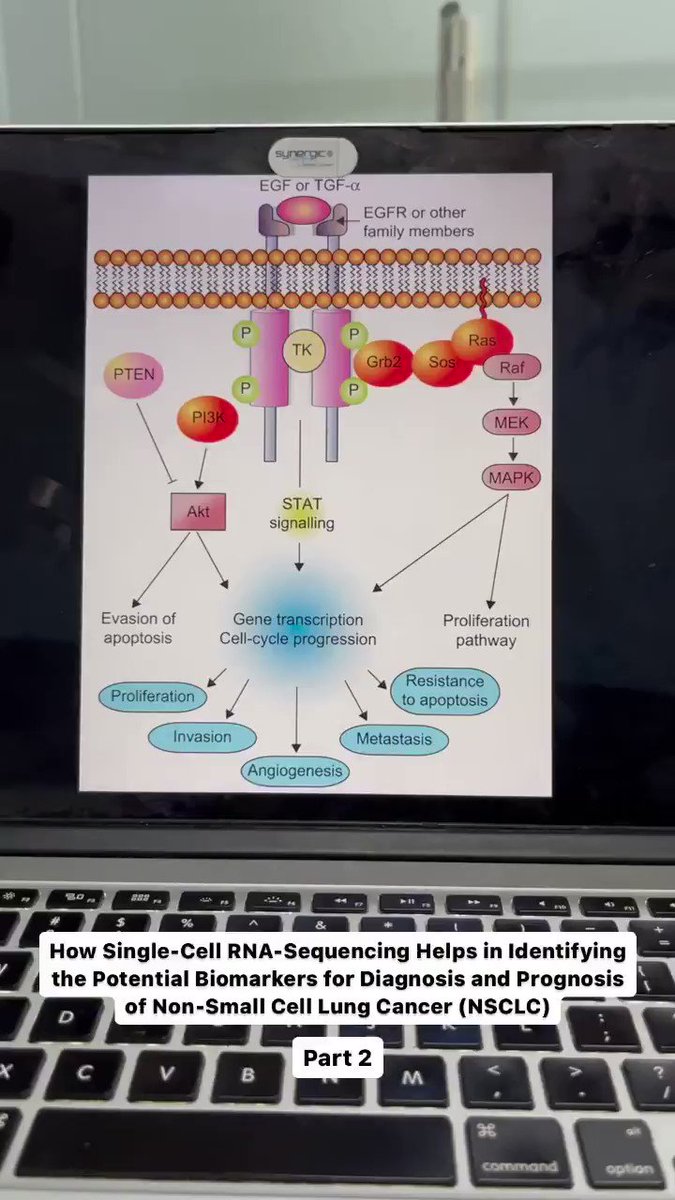BioCode on Twitter: "In this video, we’ll discuss how single-cell RNA sequencing (scRNA-seq) has ...