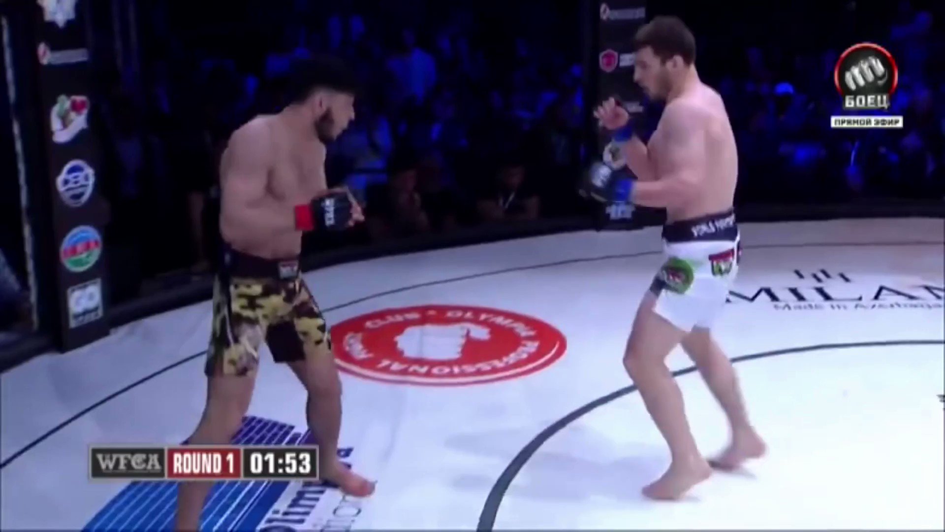 Alexander Volkara France (@VolkaraFrance) / Twitter