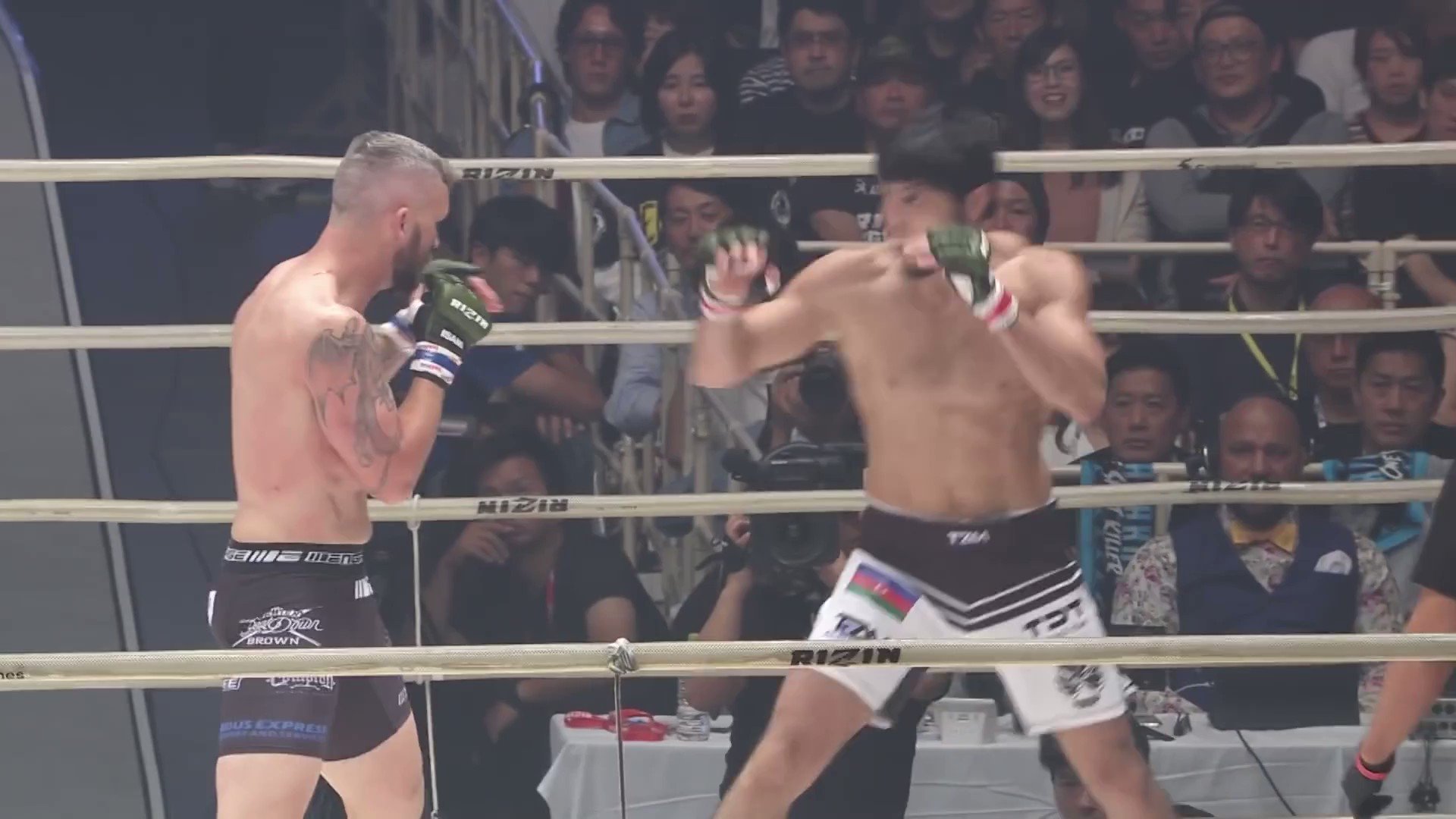 Alexander Volkara France (@VolkaraFrance) / Twitter