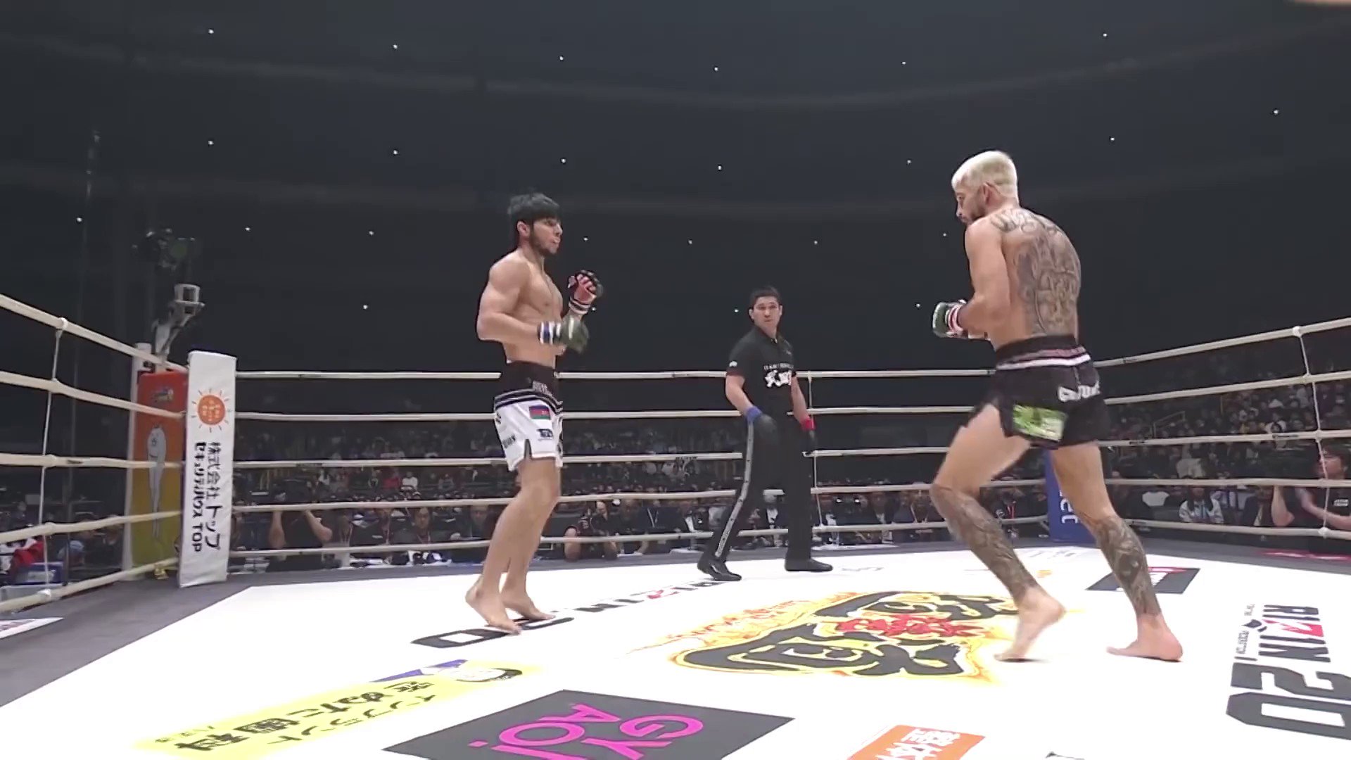 Alexander Volkara France (@VolkaraFrance) / Twitter