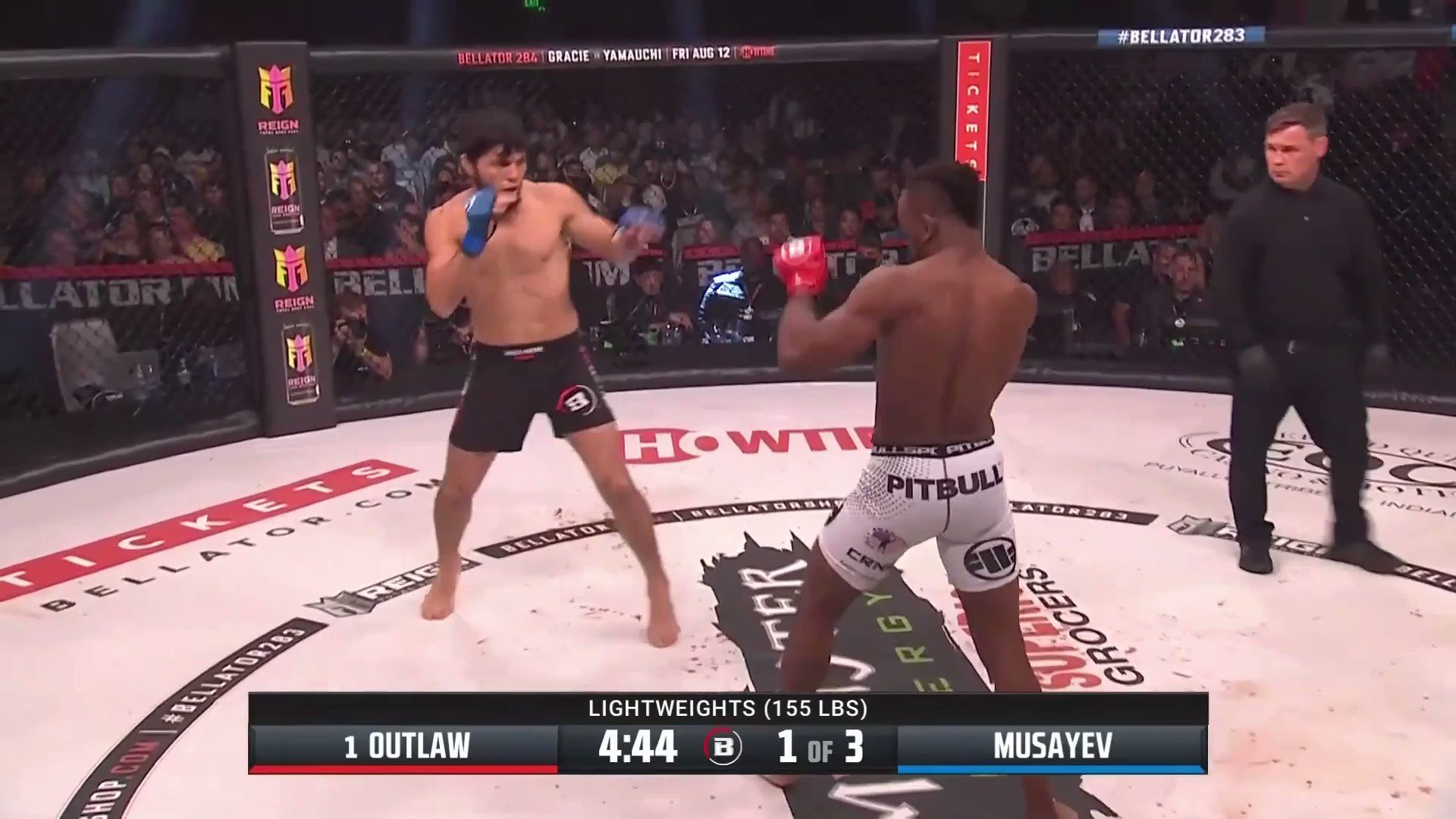 Alexander Volkara France (@VolkaraFrance) / Twitter