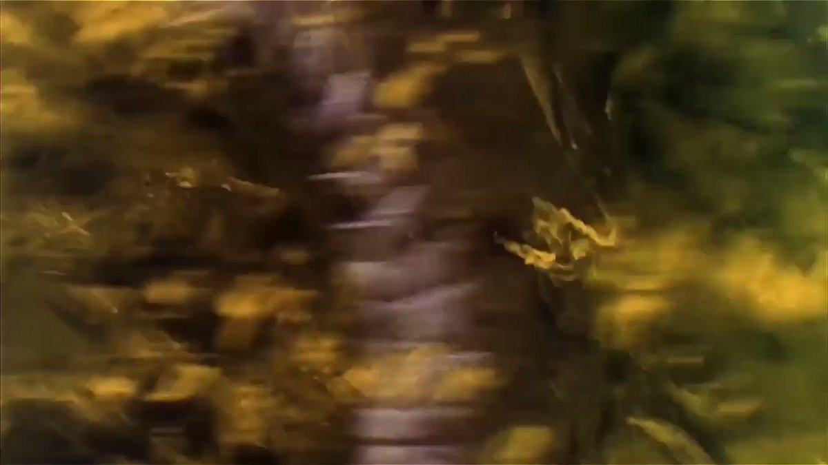 Swiftinsecurity On Twitter What Riding The Dick Of Capitalism Feels Like