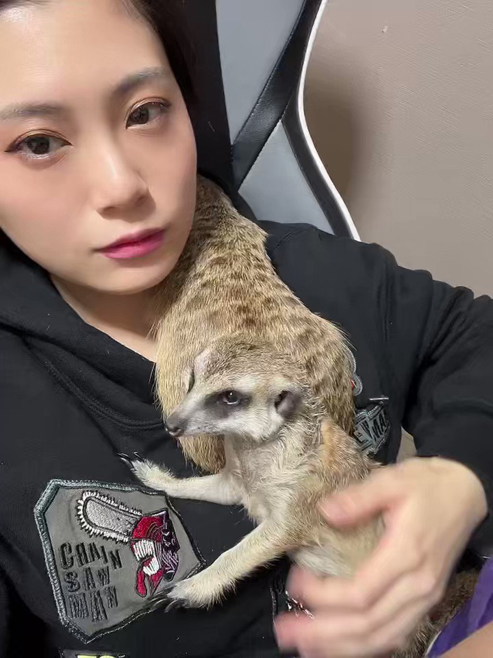 RaMu@配信者ハイパーゲーム大会出る on Twitter: "もう1人甘えんぼが来た https://t.co/2uRXOvJ10o" / Twitter