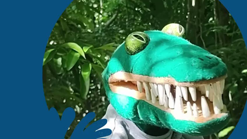 SEMARNAT México on Twitter: SEMARNAT México on Twitter: