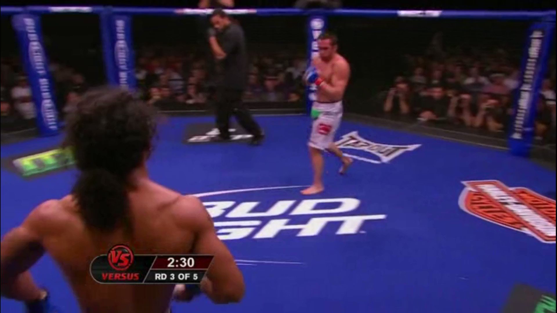 Alexander Volkara France (@VolkaraFrance) / Twitter