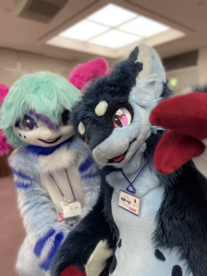 Calabi on Twitter: "RT @kurotori4423: #MofuYon"