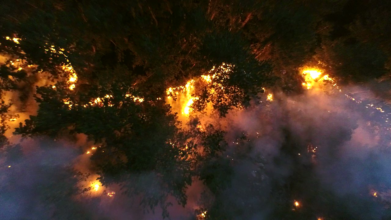 Torch Sensors (@torchsensors) / Twitter